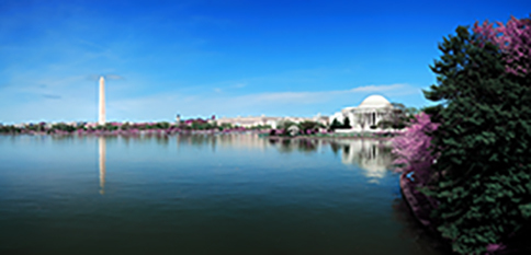 Washington, DC | Steptoe