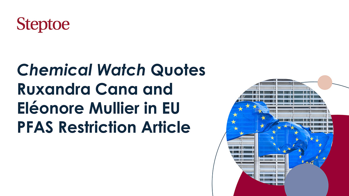 Chemical Watch Quotes Ruxandra Cana and Eléonore Mullier in EU PFAS ...